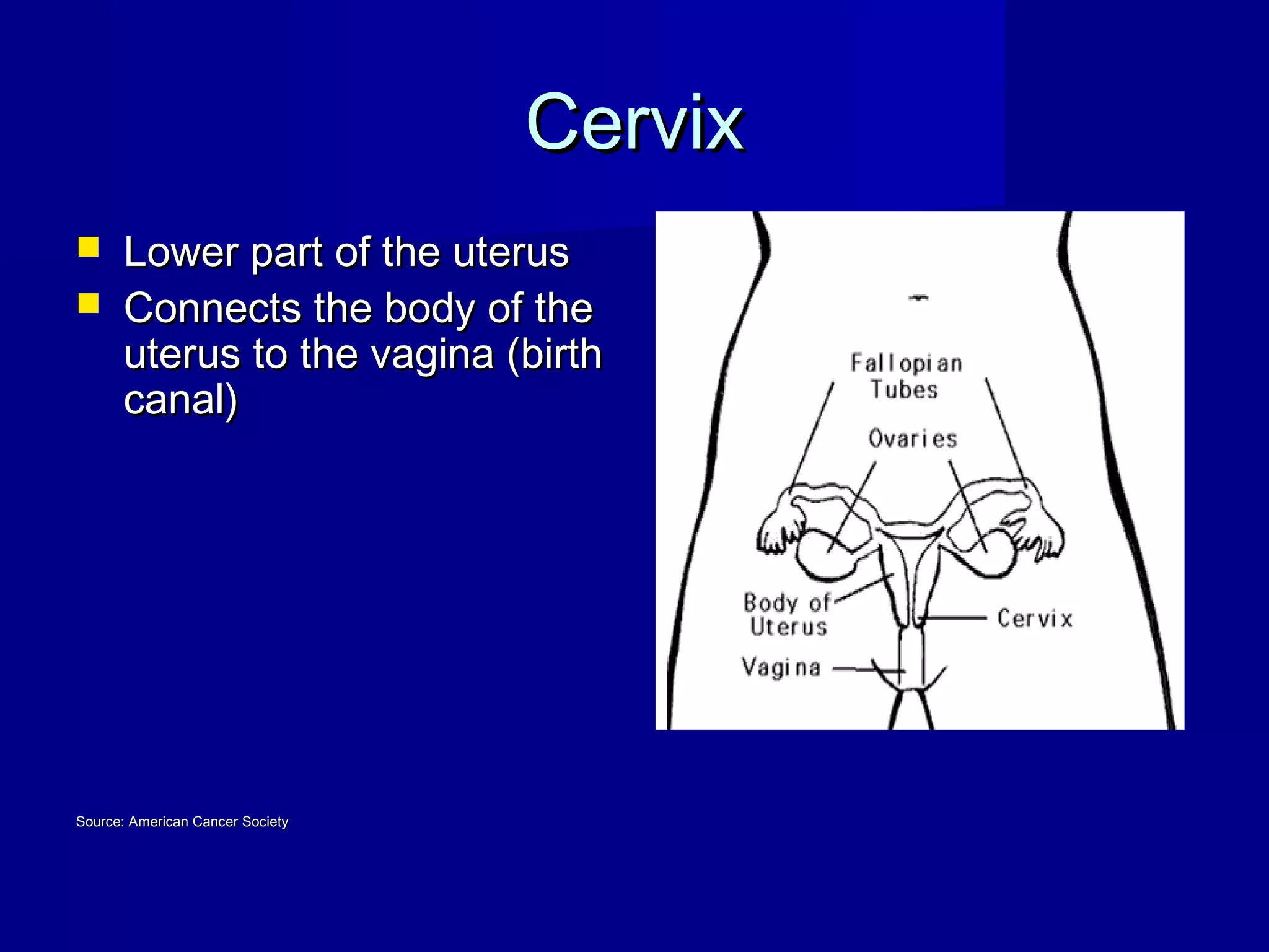 Cervical cancer | PPT