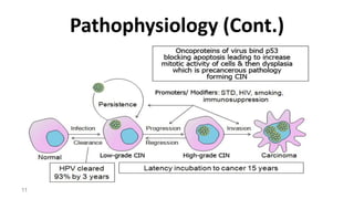 Cervical cancer | PDF