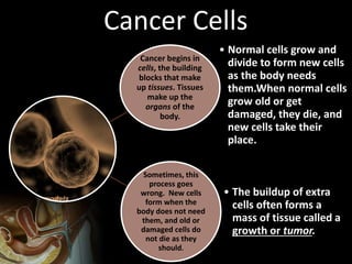 How Long Does Cervical Cancer Take To Develop