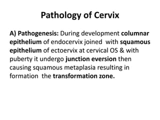 Cervical cancer, Anatomy and pathology | PPTX