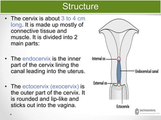 Cervical cancer | PPTX