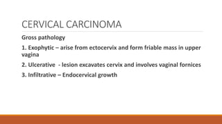 Cervical cancer | PDF