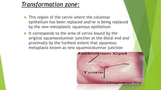 Cervical cancer | PPTX