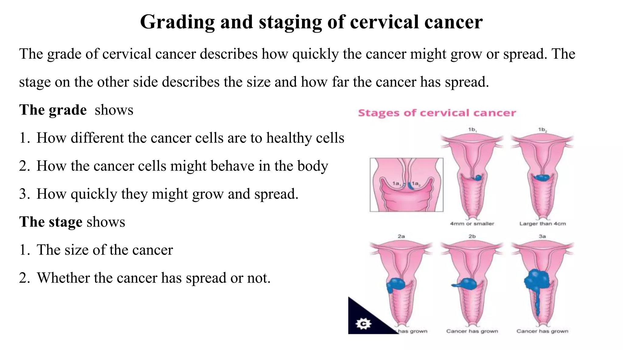 cervical cancer.pptx
