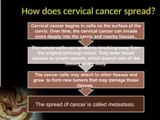 cervical cancer.pptx cervix cancer oncology | PPT