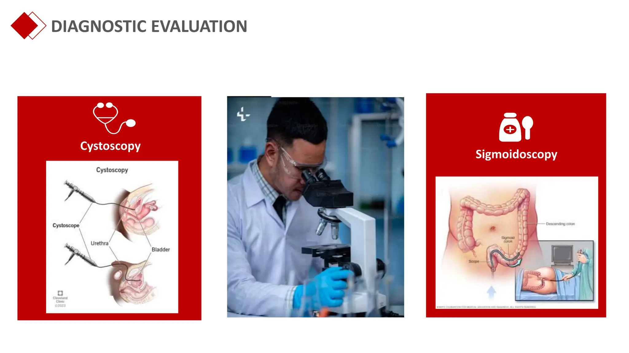 CERVICAL CANCER (1).pptx obstetrics and gynaecology research topic | PPT