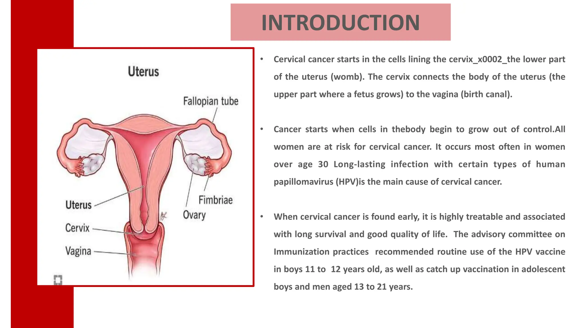 CERVICAL CANCER (1).pptx obstetrics and gynaecology research topic | PPT