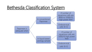 CERVICAL CANCER (CIN).pptx