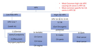 CERVICAL CANCER (CIN).pptx