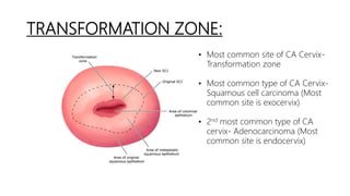 CERVICAL CANCER (CIN).pptx