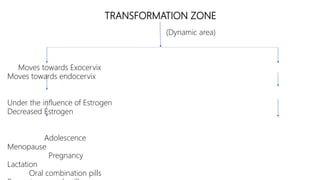 CERVICAL CANCER (CIN).pptx