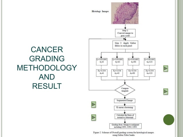 Cervical Cancer Classification Using Gabor Filters 1026 Ppt