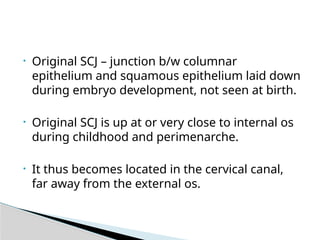 Cervical cancer. Cancer of the cervix Dec 2023.pptx