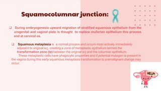 Cervical cancer Dr.Alia | PPT