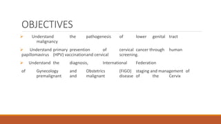 Cervical cancer | PPT