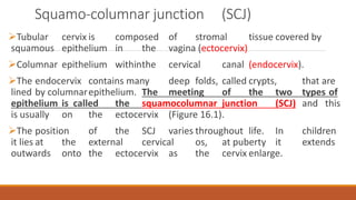 Cervical cancer | PPTX
