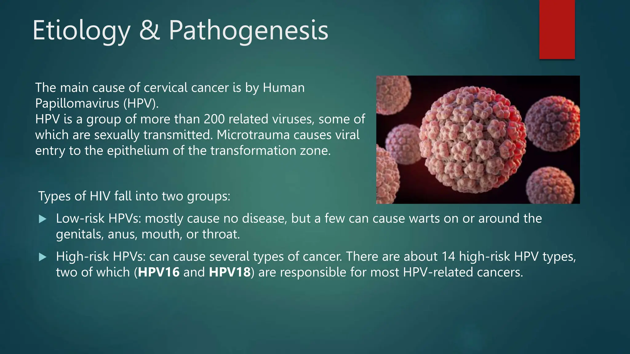 Cervical Cancer ppt (1).pptx