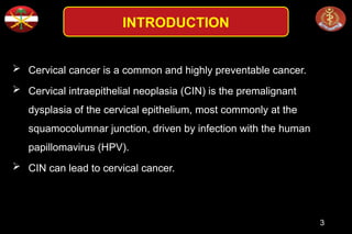 Cervical Cancer Presentation 14-01-2024.pptx