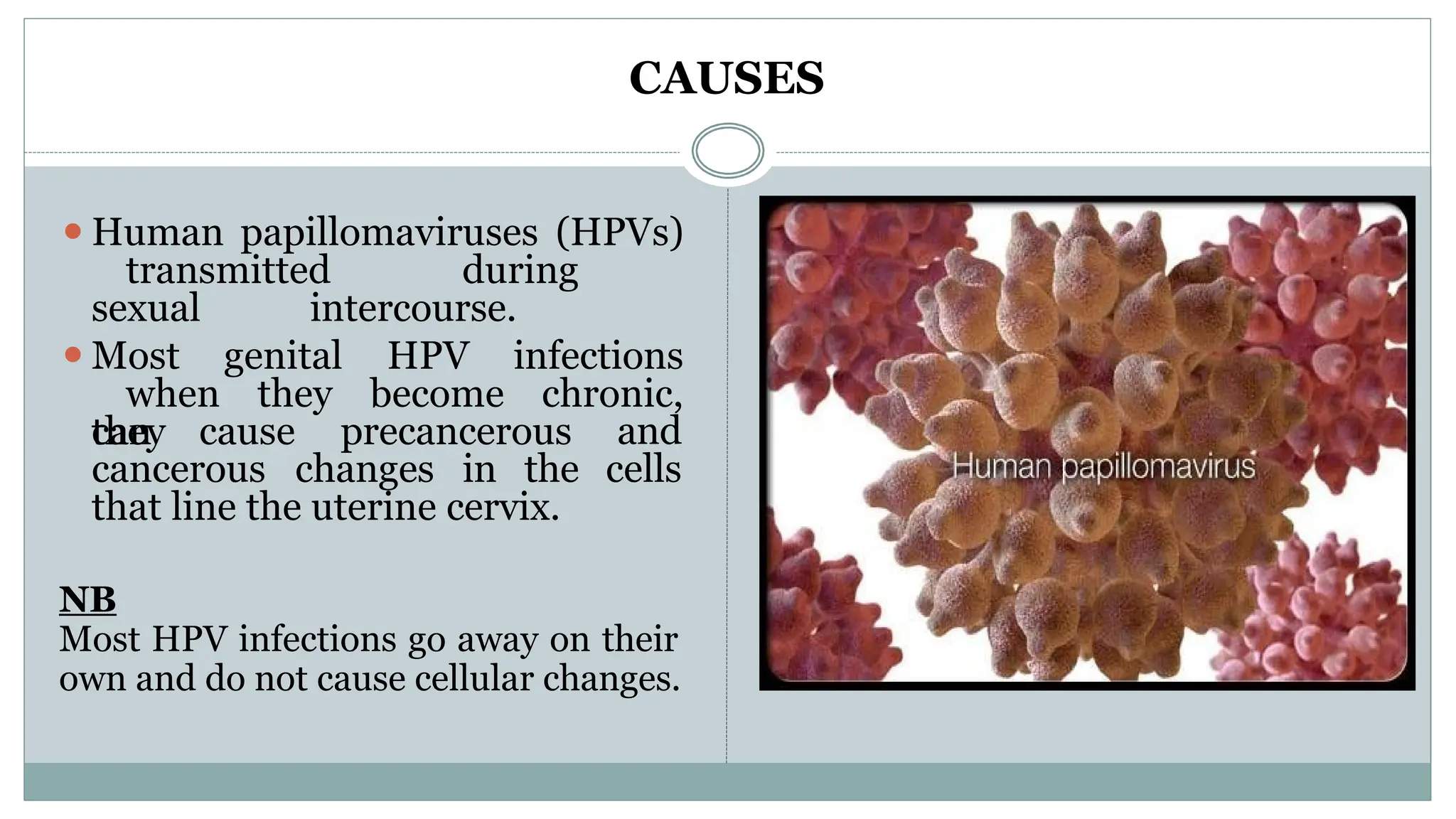 CERVICALCANCER PRESENTATION12023_FM.pptx