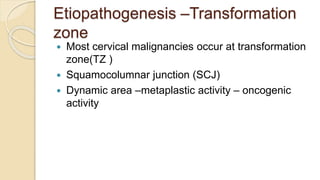 Cervical cancer screening 14.02.24.....pptx