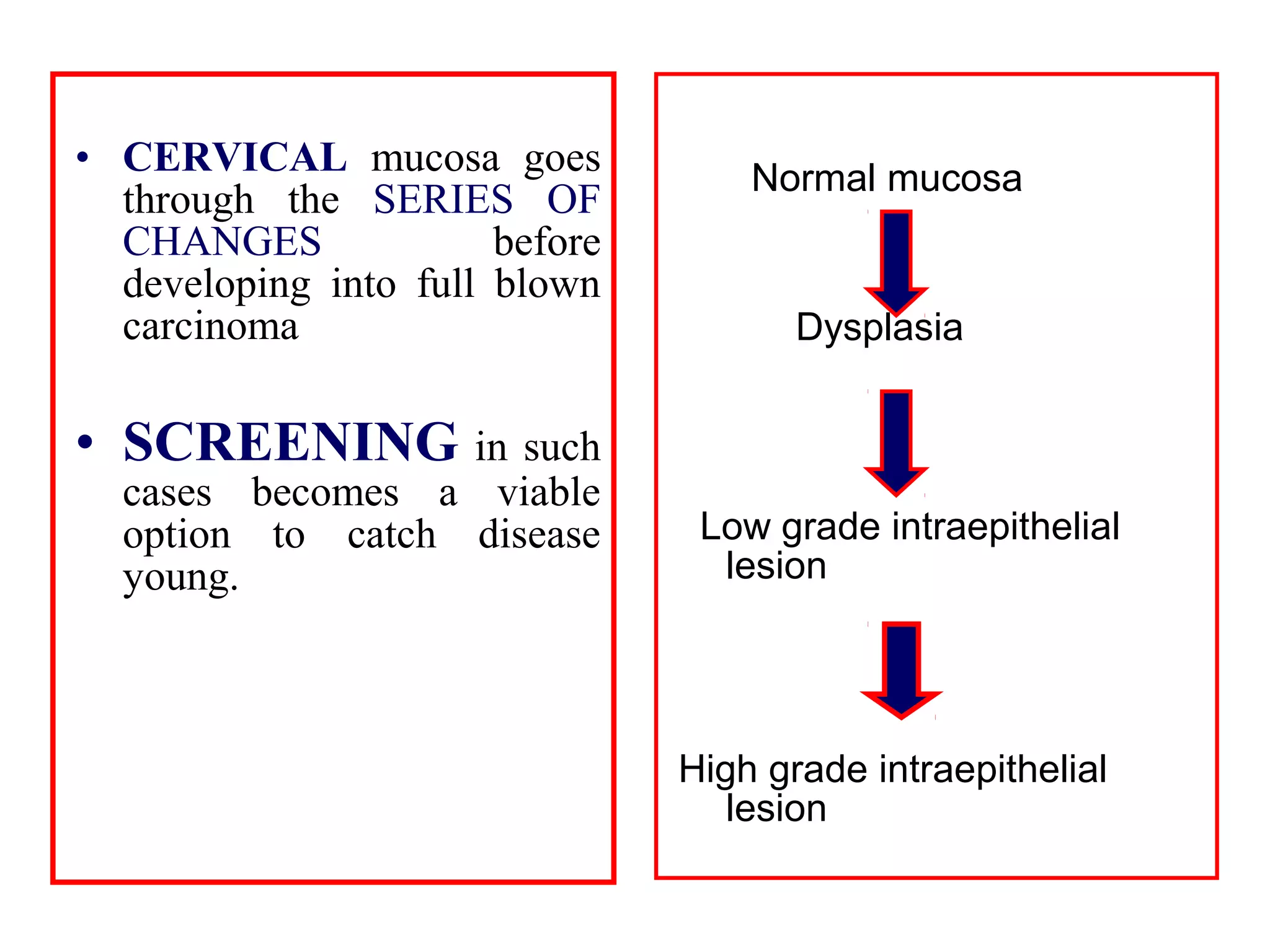 Cervical cancer screening guidelines 2013 on 7th sept | PPT