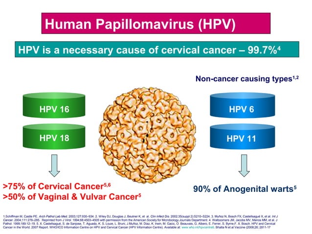 Cervical cancer screening guidelines 2013 on 7th sept | PPT