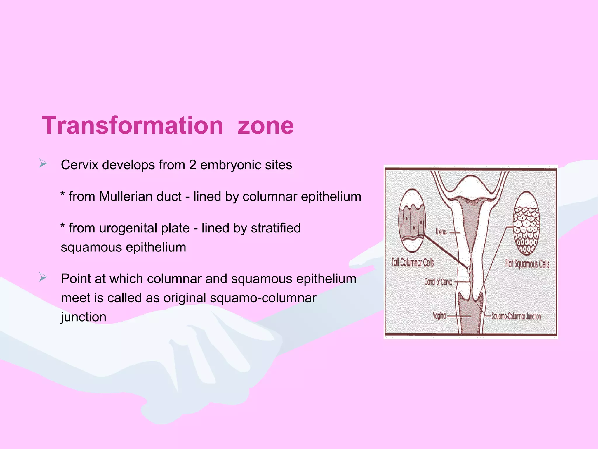 CERVICAL CANCER & ITS PREVENTION | PPT