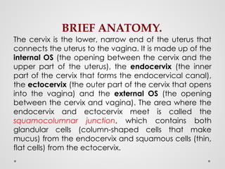 CERVICAL CARCINOMA short pdf on what you need | PPTX