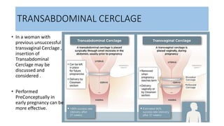 Transabdominal Cervical Cerclage – CBCIFO