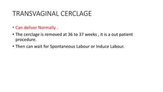 Cervical cerclage Procedure | PPT