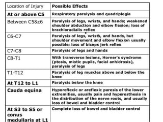 Cervical cord compression | PPT
