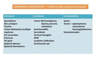 Cervical cord compression | PPT