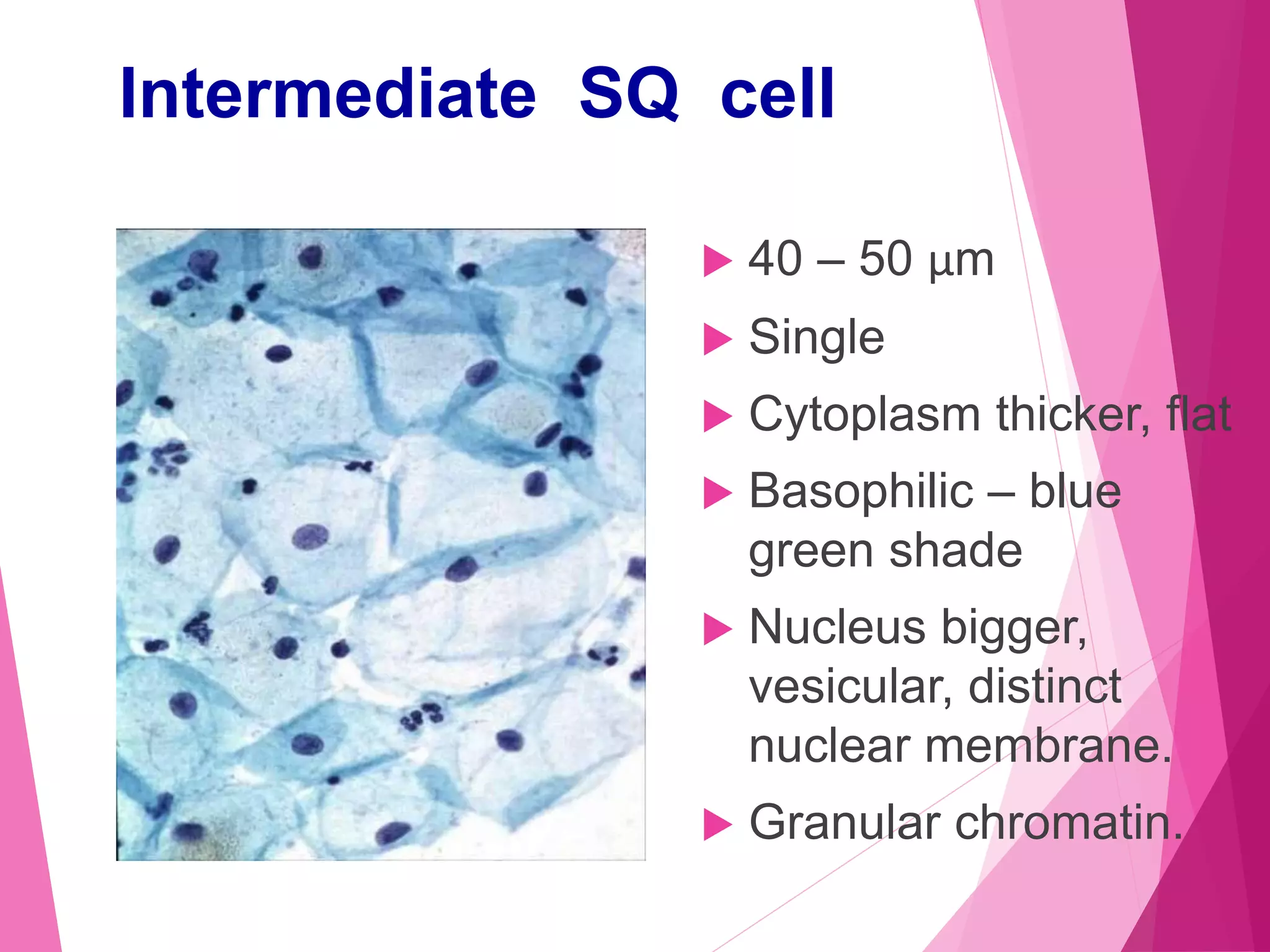 Cervical cytology | PPTX