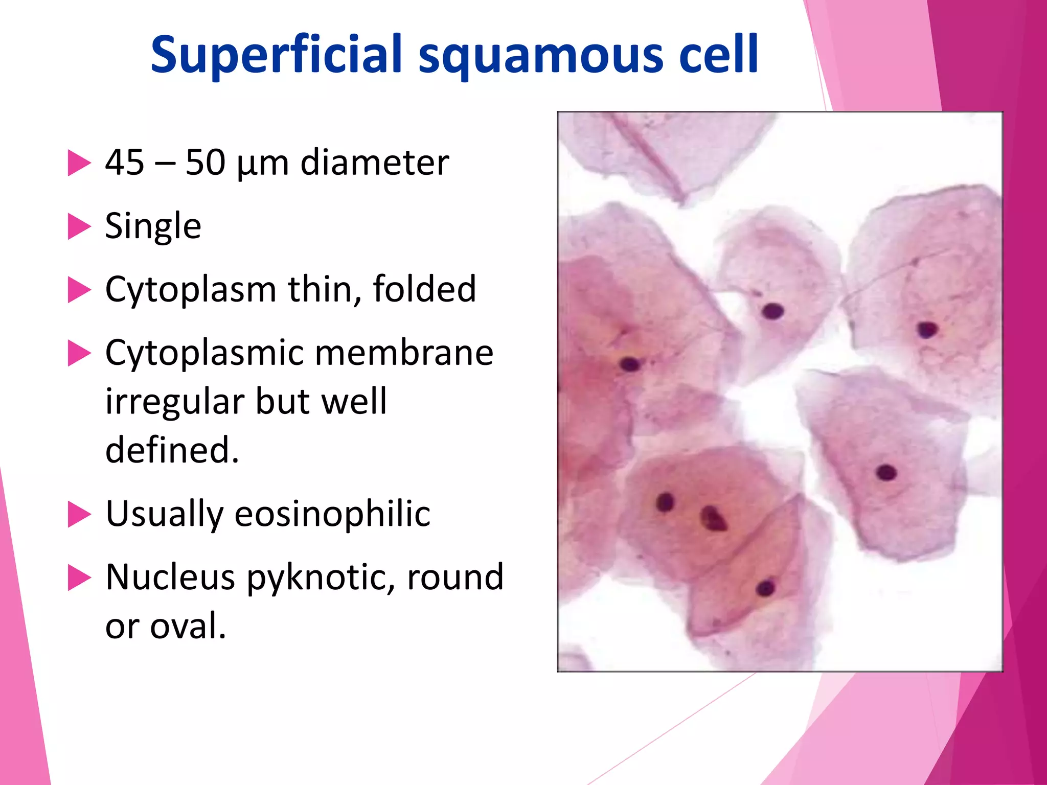 Cervical cytology | PPTX