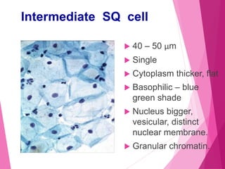 Cervical cytology | PPTX