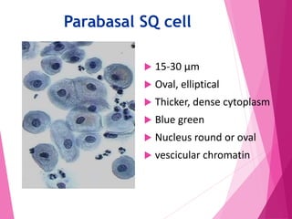 Cervical cytology | PPTX