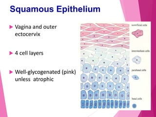 Cervical cytology | PPTX