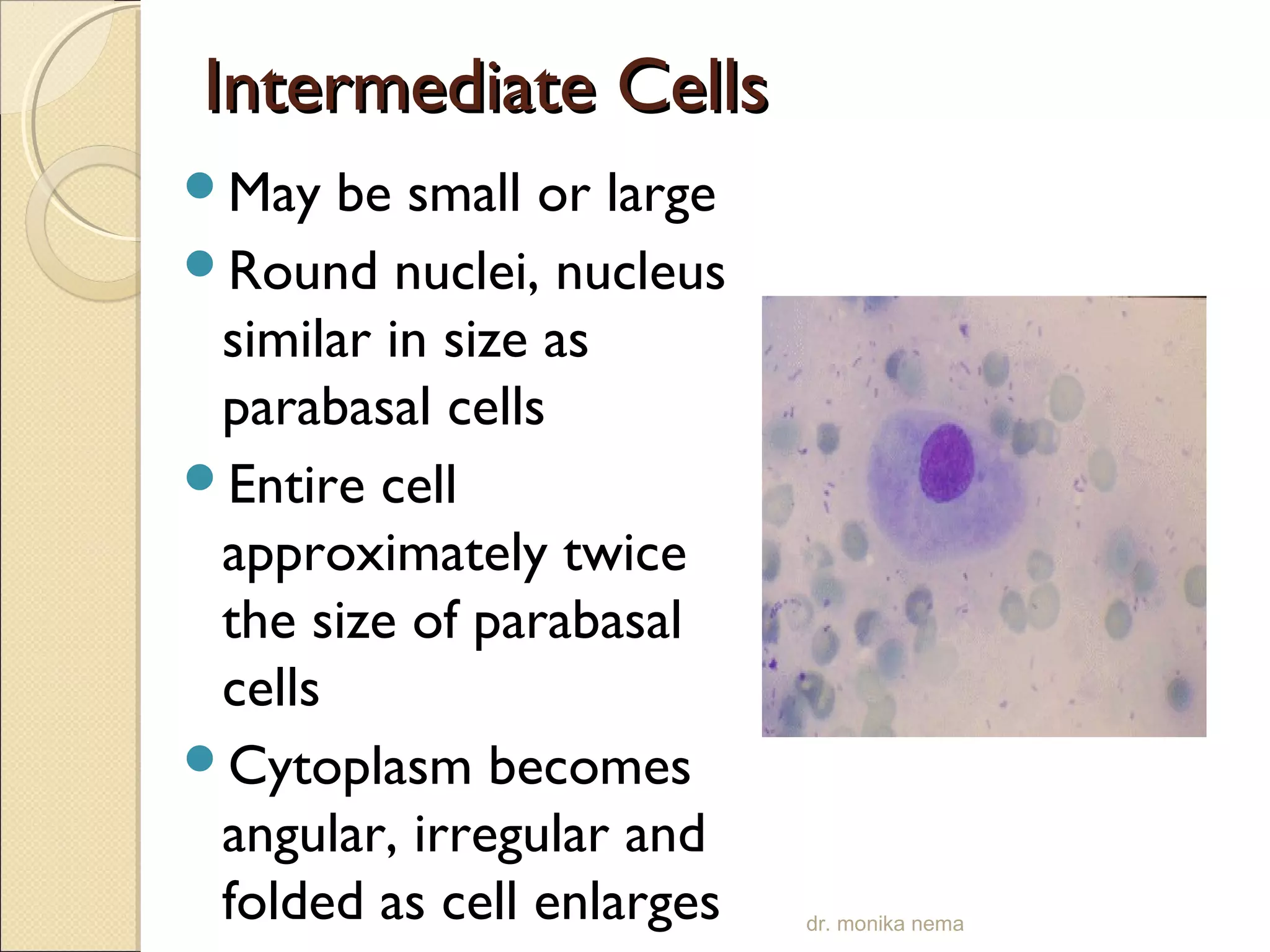 Cervical cytopathology | PPT
