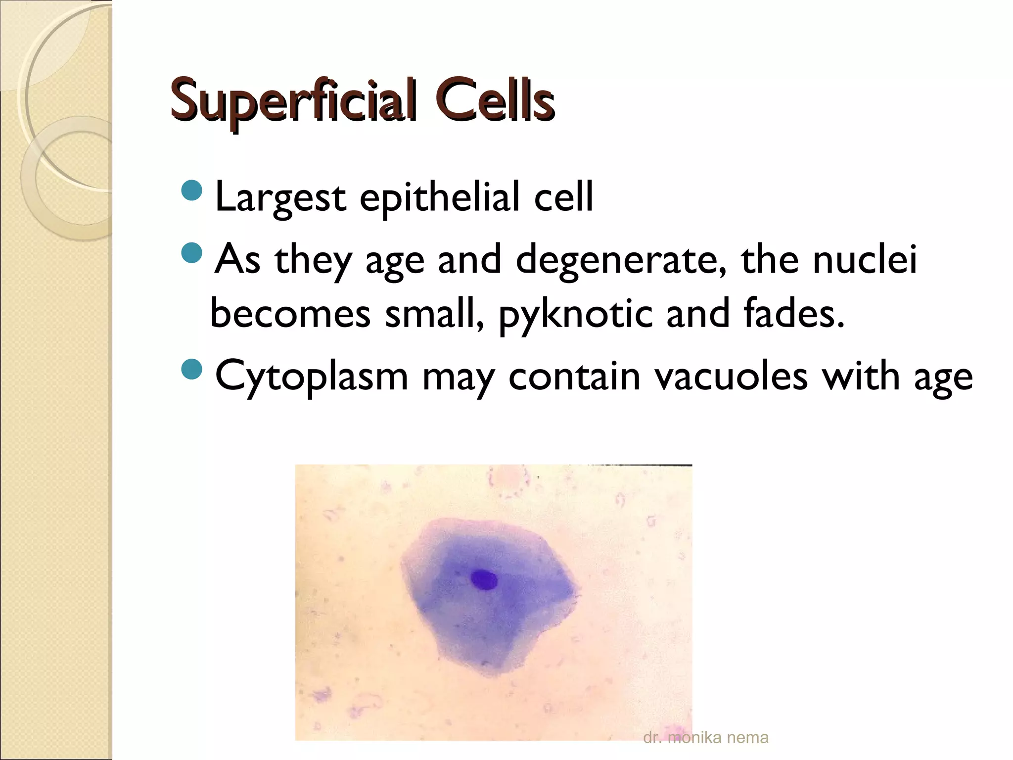 Cervical cytopathology | PPT