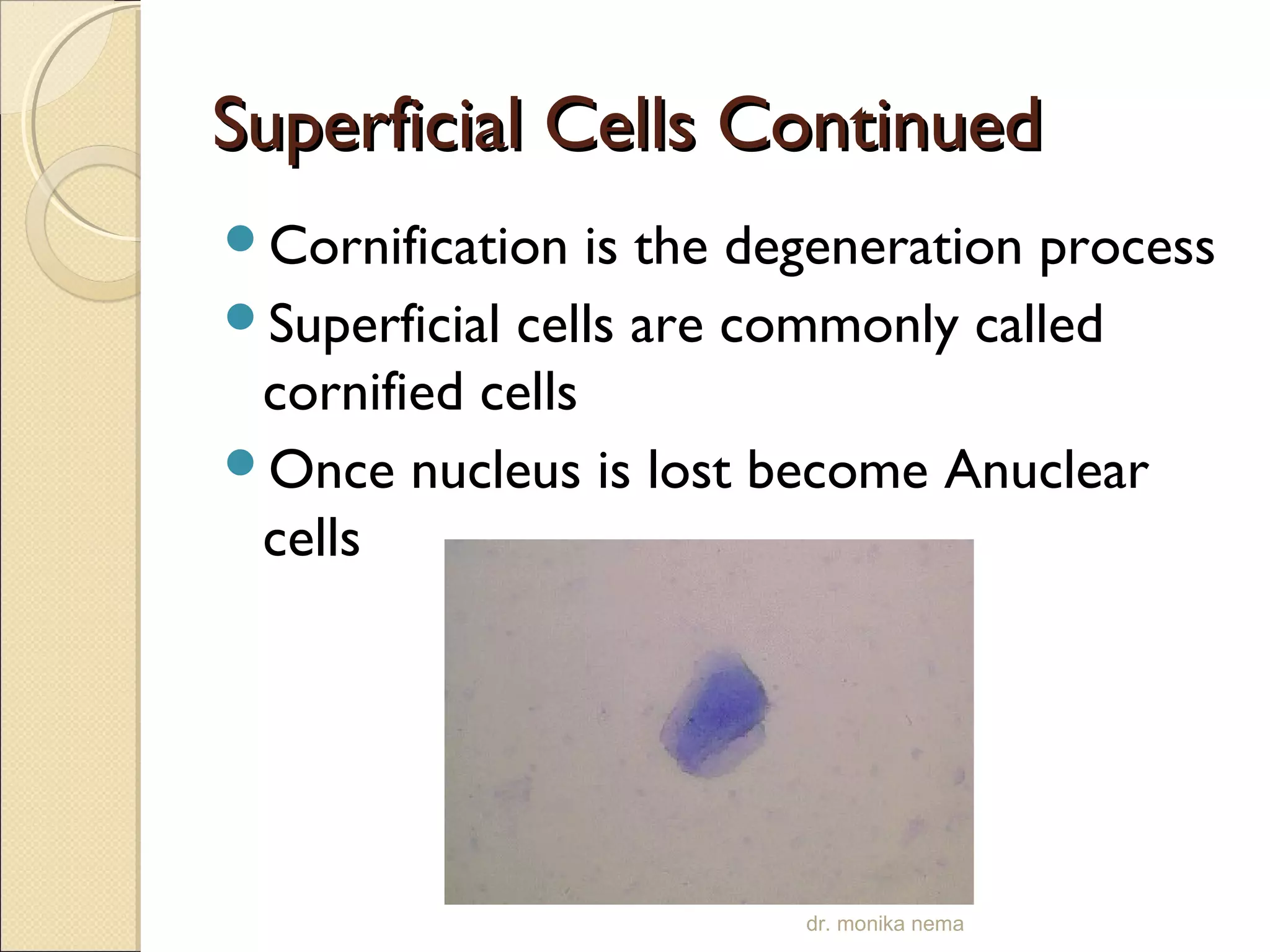 Cervical cytopathology | PPT