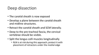 Overview of Cervical Disc Herniation.pptx