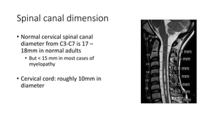 Overview of Cervical Disc Herniation.pptx