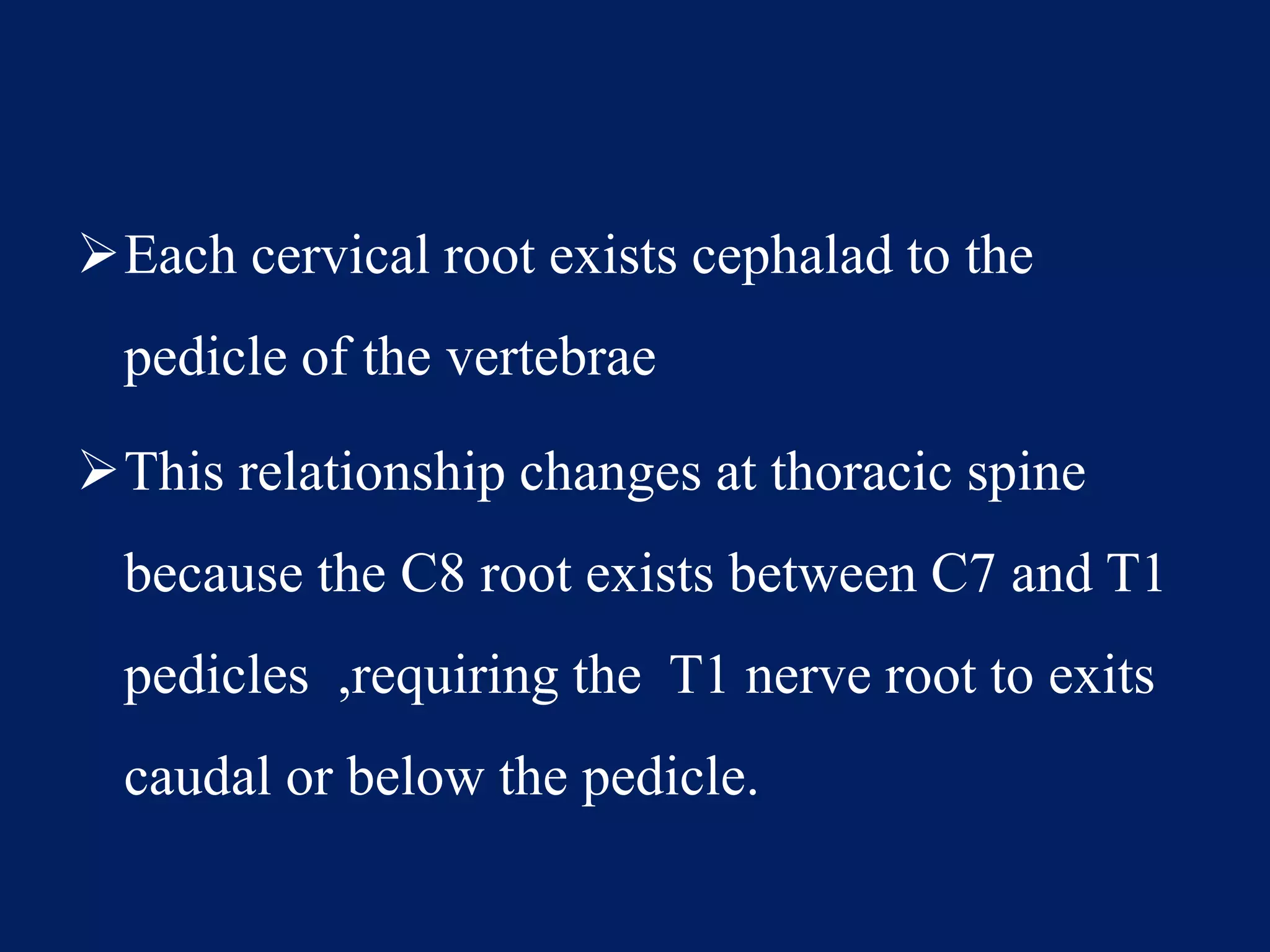 Cervical disc prolapse | PPTX