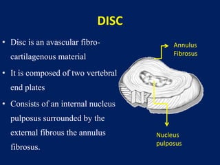 Cervical disc prolapse | PPTX