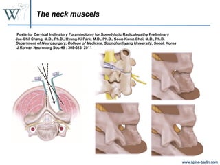 Cervical endoscopy | PPT