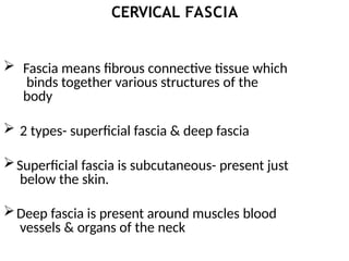 cervical fascia anatomy head & neck.pptx