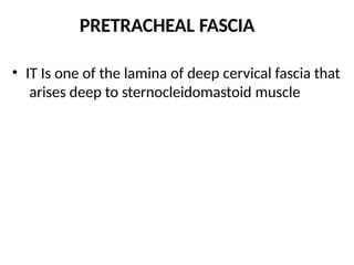 cervical fascia anatomy head & neck.pptx