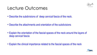 CERVICAL FASCIA + head and neck anatomy (1).pptx