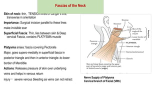 CERVICAL FASCIA + head and neck anatomy (1).pptx