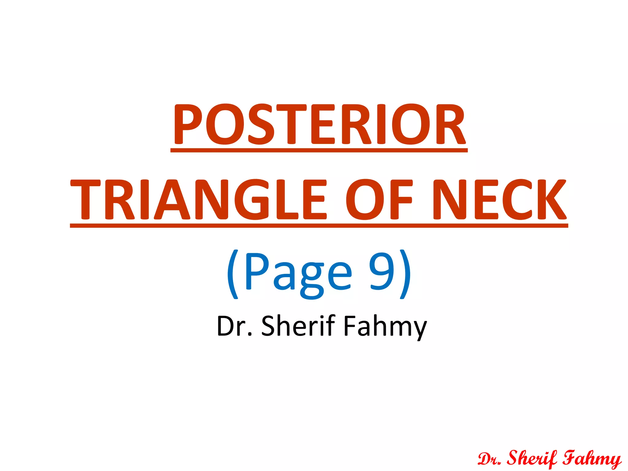 Cervical Fascia & Posterior Triangle (Anatomy of the Neck) | PPS